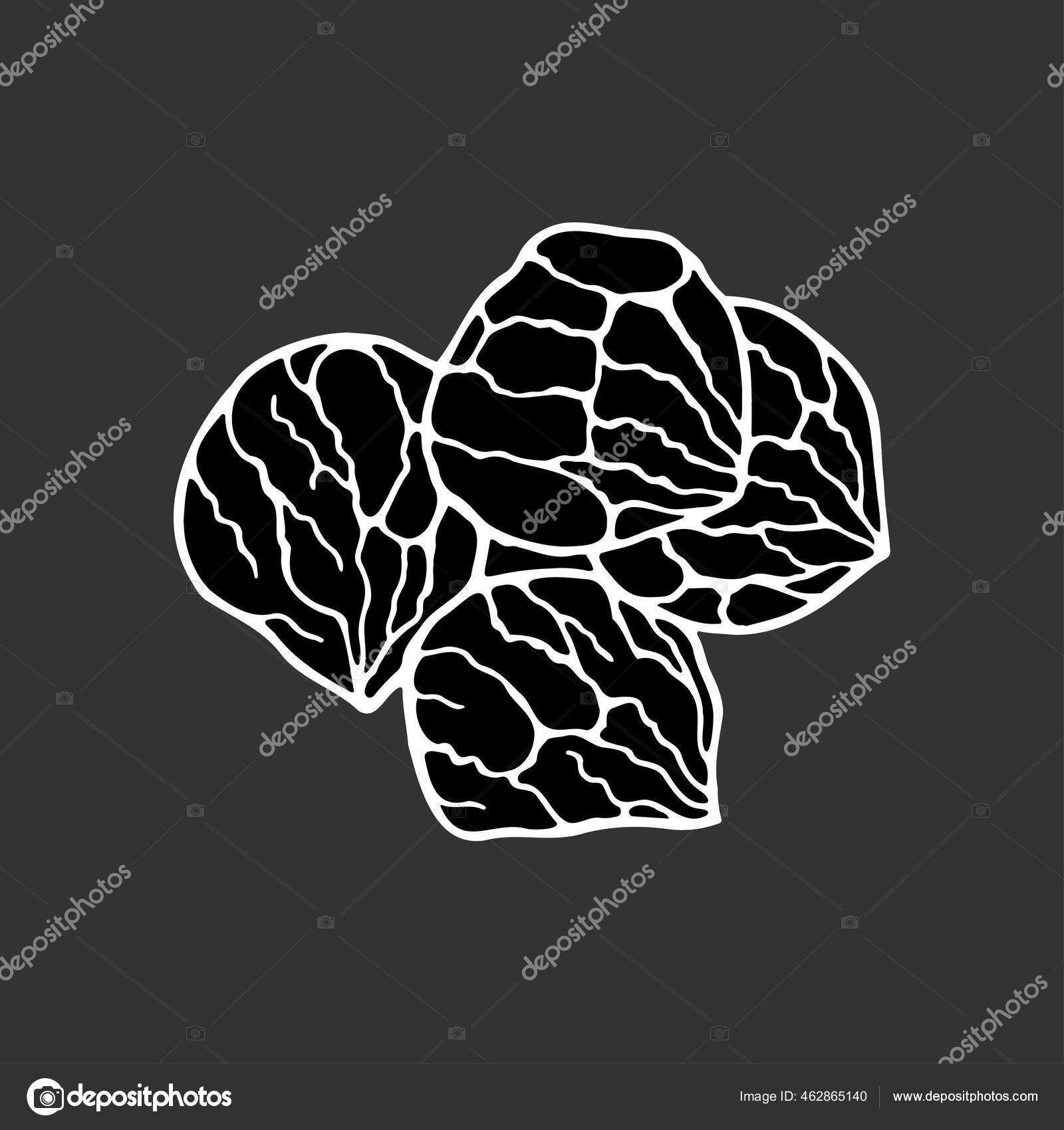 Vector Hand Drawn Marron Glace Spanish Dessert Design Sketch Element ...