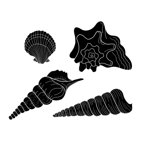 65 Cowry Vector Images, Cowry Illustrations | Depositphotos