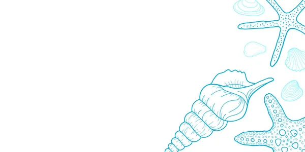 65 Cowry Vector Images, Cowry Illustrations | Depositphotos