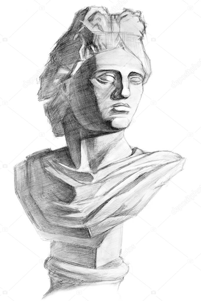 Dibujo de la escultura del busto de Apolo Belvedere (Apolo). Proyección ...