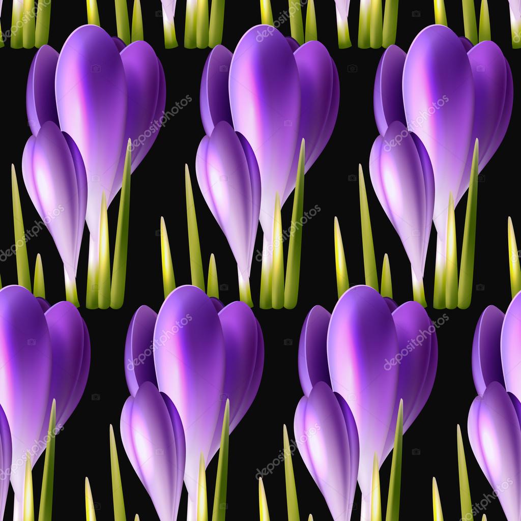 Crocuses spring flowers background Stock Vector Image by ©korinoxe ...