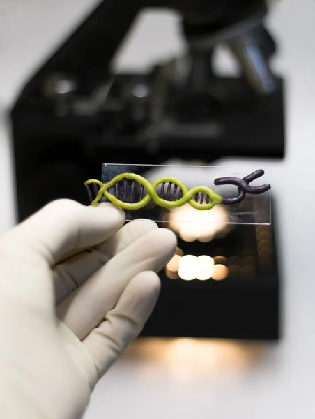 Dna testing probe Stock Photos, Royalty Free Dna testing probe Images ...