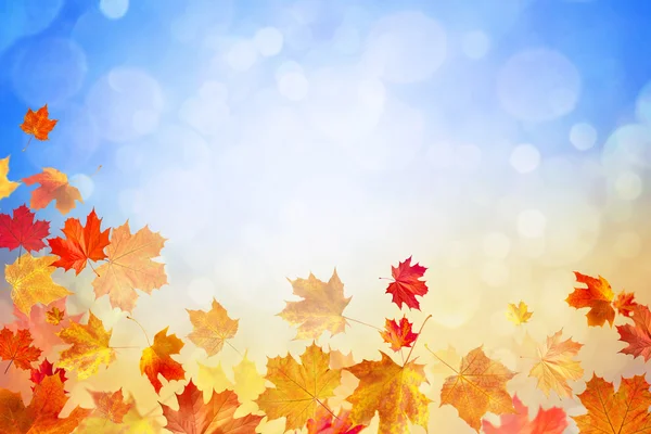 Fall screensaver Stock Photos, Royalty Free Fall screensaver Images ...