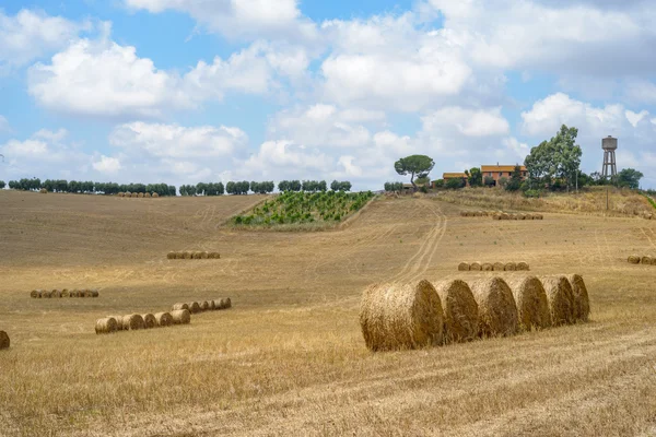 Fazenda italiana Stock Photos, Royalty Free Fazenda italiana Images ...