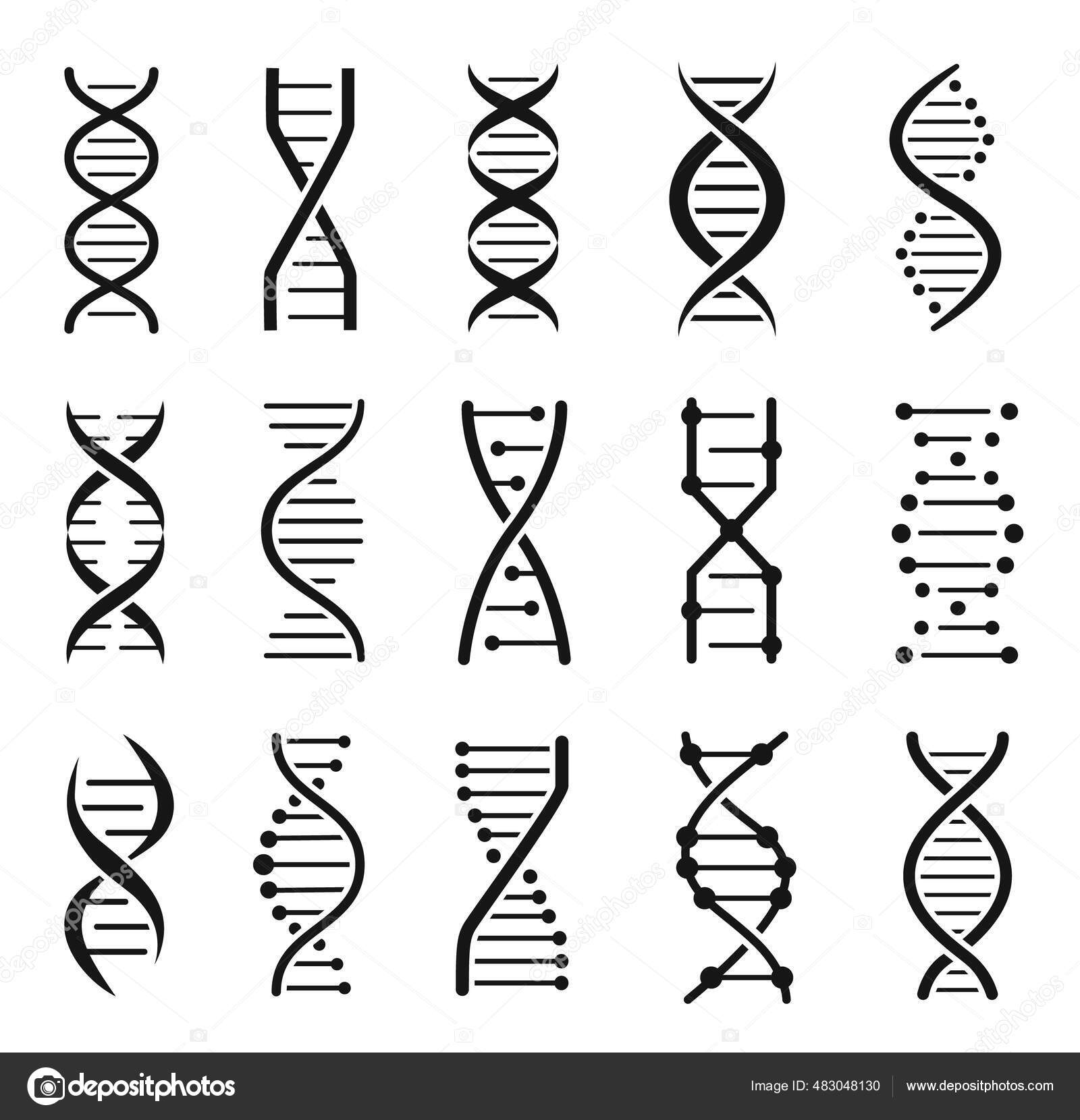 DNA molekül yapısı simgeleri. Kromozom zinciri sarmalı, genetik kod ...