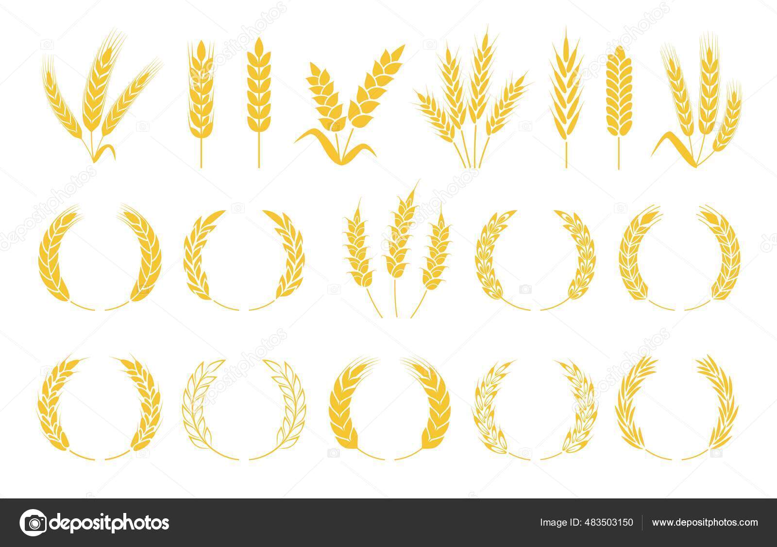 Wheat Wreath Illustration