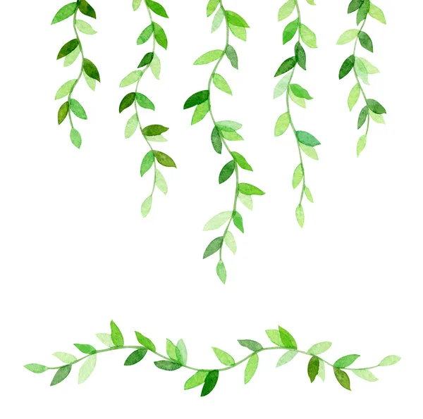 Ramas verdes fotos de stock, imágenes de Ramas verdes sin royalties ...