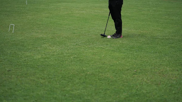 Gateball is a mallet team sport inspired by croquet. It is a fast-paced ...