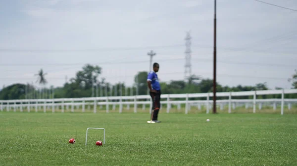 Gateball is a mallet team sport inspired by croquet. It is a fast-paced ...