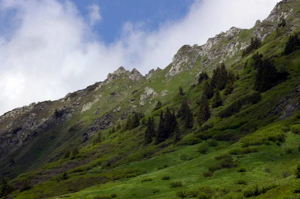 Alpine border Stock Photos, Royalty Free Alpine border Images ...