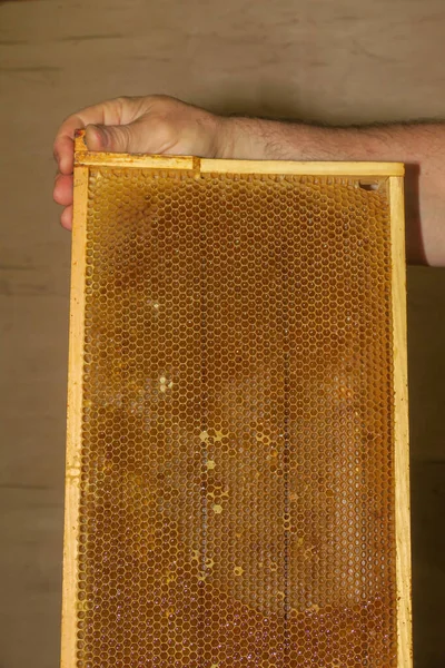 The beekeeper with honeycombs Stock Photos, Royalty Free The beekeeper ...