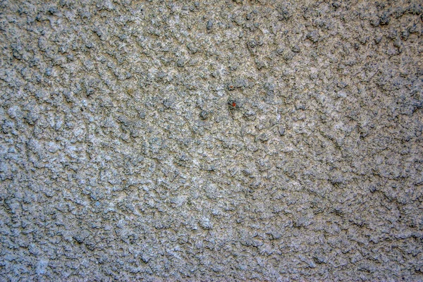 Gum texture Stock Photos, Royalty Free Gum texture Images | Depositphotos