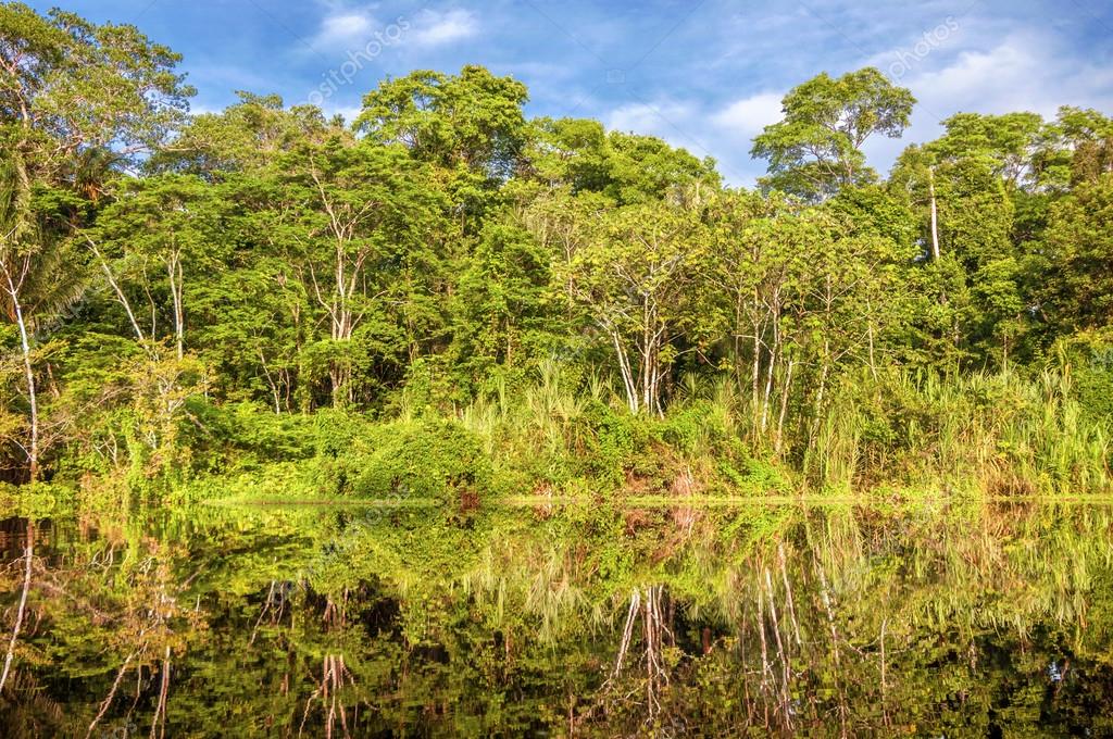 Río en la selva amazónica, Perú, América del Sur 2025