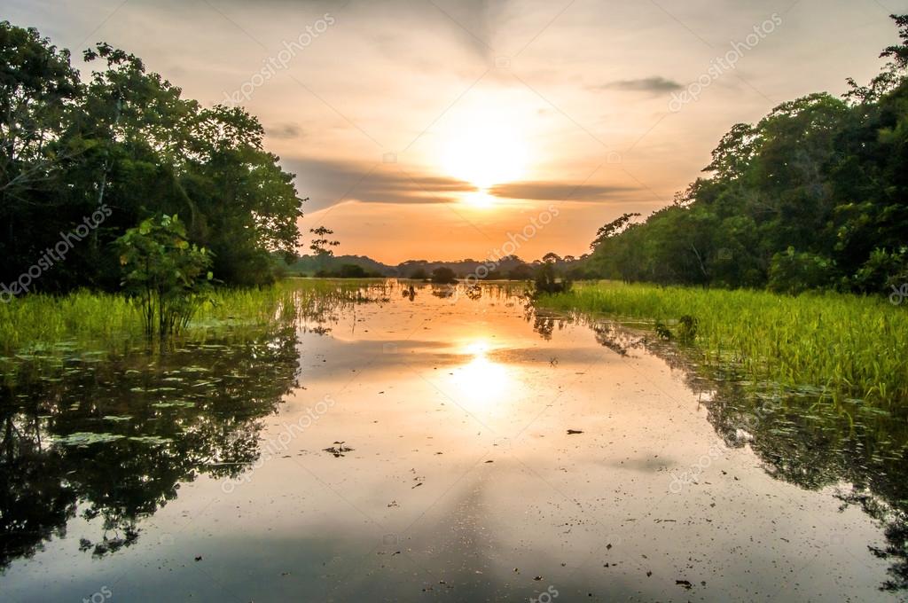 Río en la selva amazónica al atardecer, Perú, América del Sur 2023