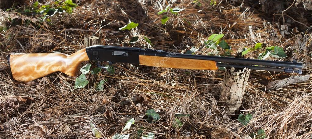 Wood rifle in the forest — Stock Photo © gsagi #122691580