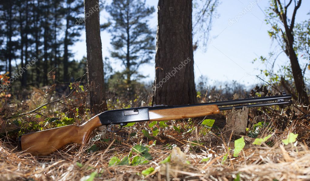 Rifle and trees — Stock Photo © gsagi #123131758