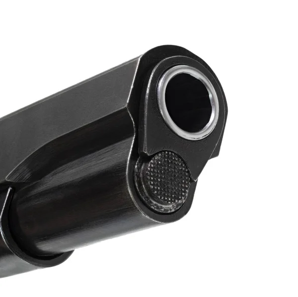 Pistol bush Stock Photos, Royalty Free Pistol bush Images | Depositphotos