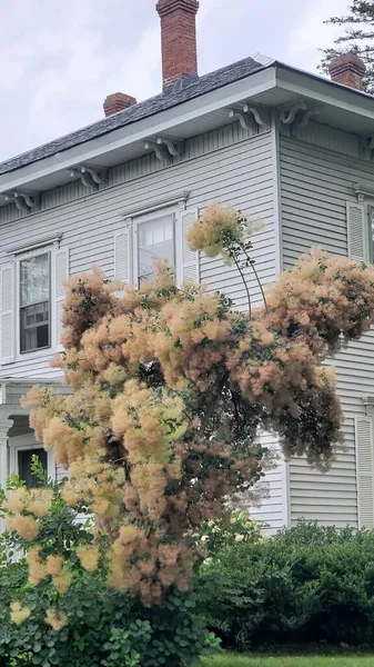 Michael bushman house Stock Photos, Royalty Free Michael bushman house ...