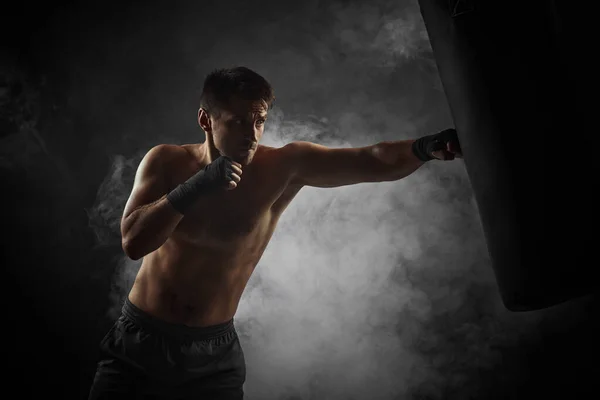 Boxer backlit Stock Photos, Royalty Free Boxer backlit Images ...