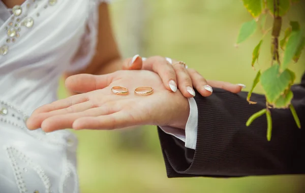 Two wedding rings - Stock Image - Everypixel