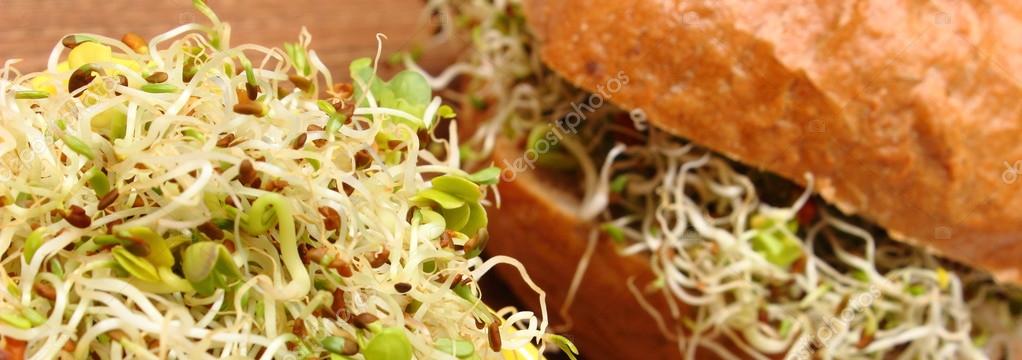 Wholemeal bread roll with alfalfa and radish sprouts Stock Photo by ...