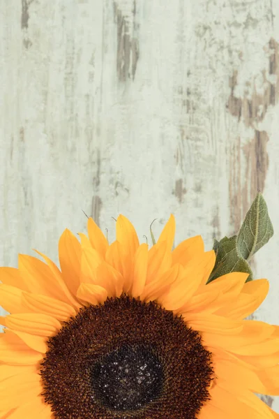 Rustic sunflower background Stock Photos, Royalty Free Rustic sunflower ...