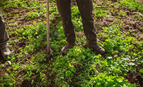 Boots stepping on the ground with hoe and rake for agriculture ...