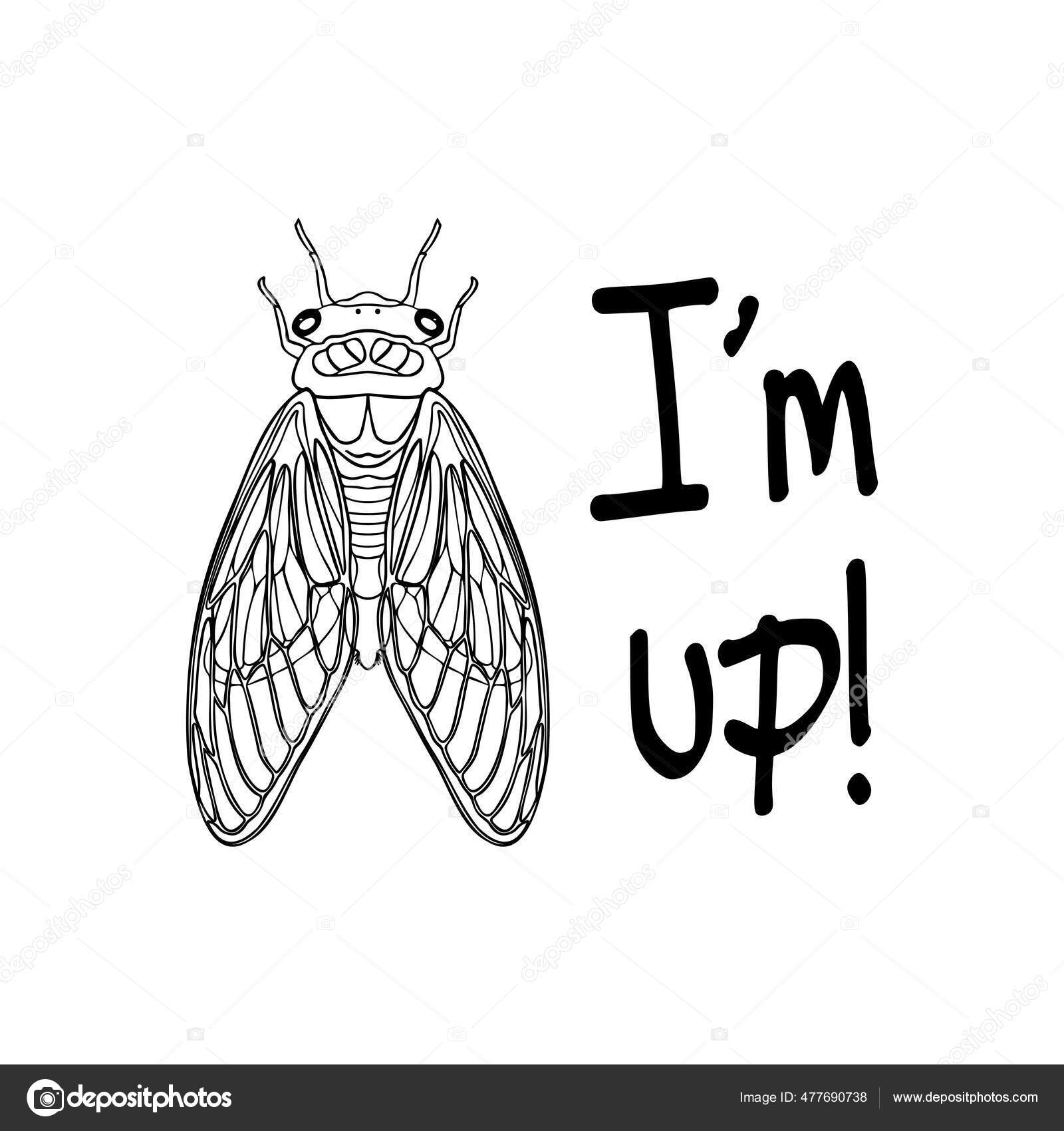 Ilustración vectorial de una cigarra de insectos imagen vectorial en ...