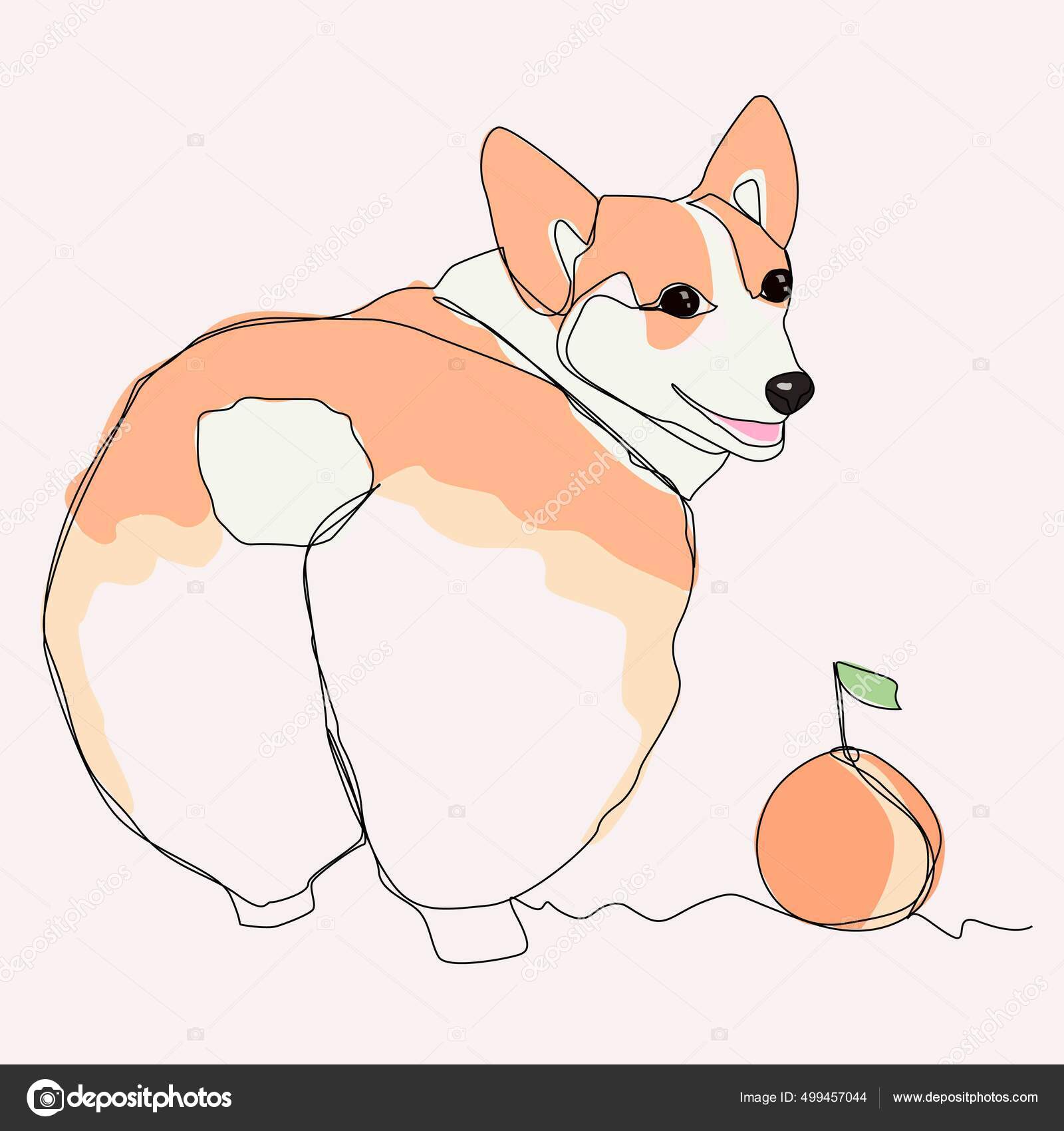 Corgi Stands His Back One Line Drawing Corgi Butt Peach Stock Vector ...