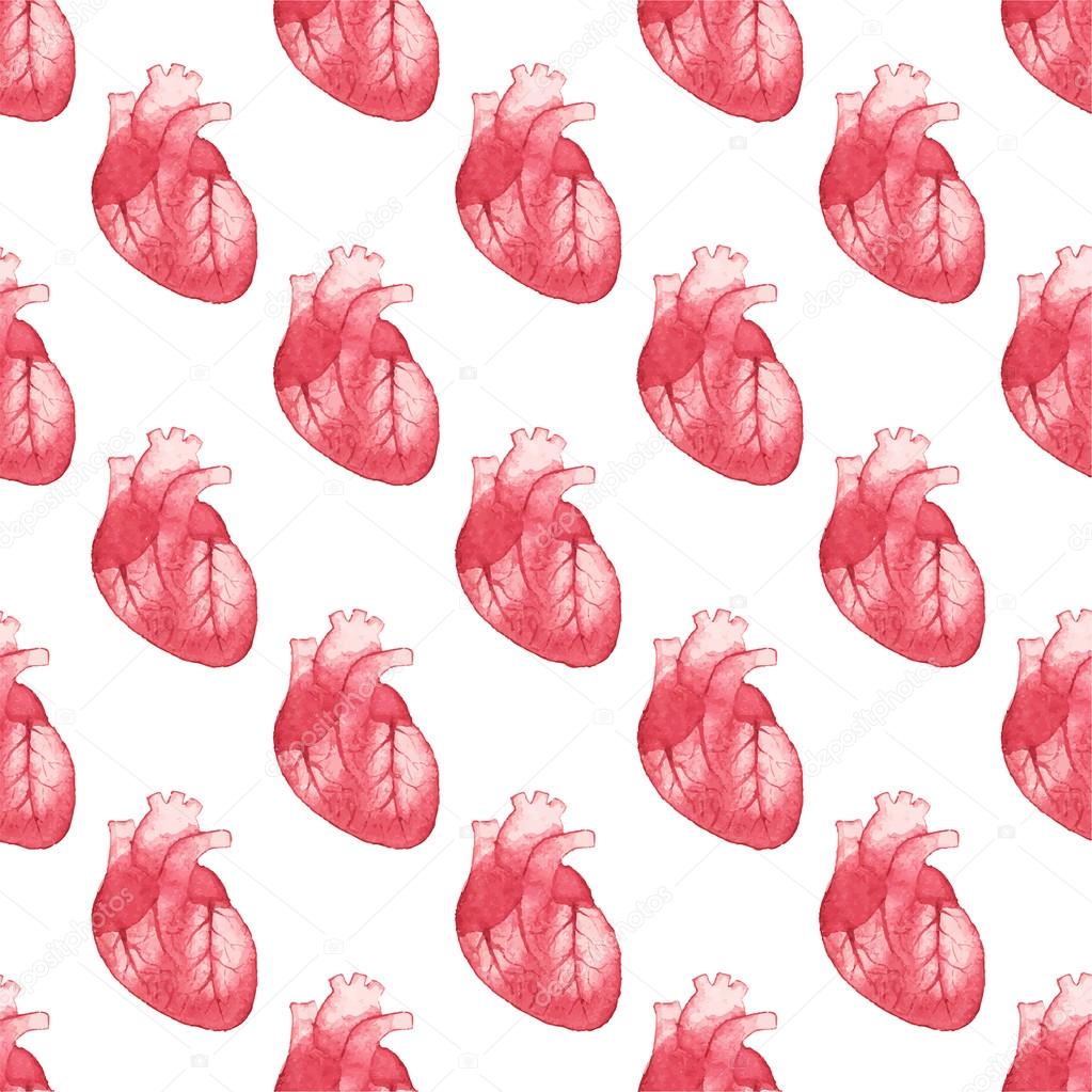 Anatomical Heart Stencil