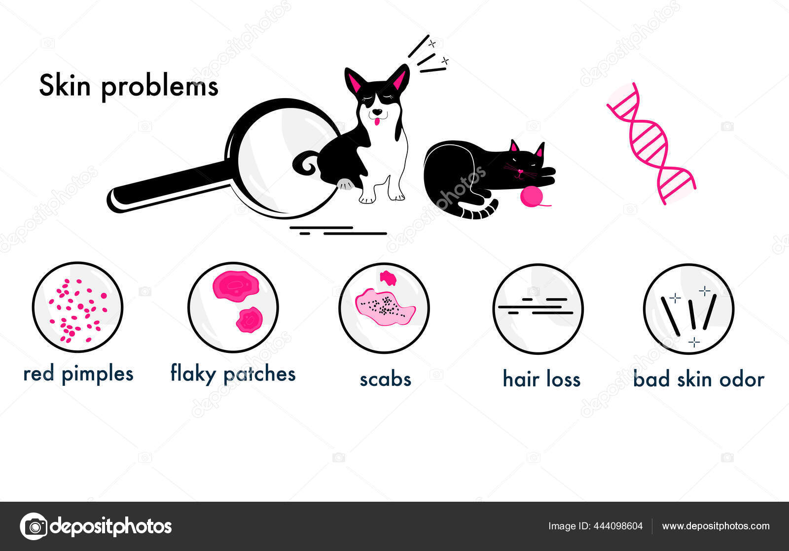 Cat Dog Skin Problems Infographic Icons Different Symptoms Allergy ...