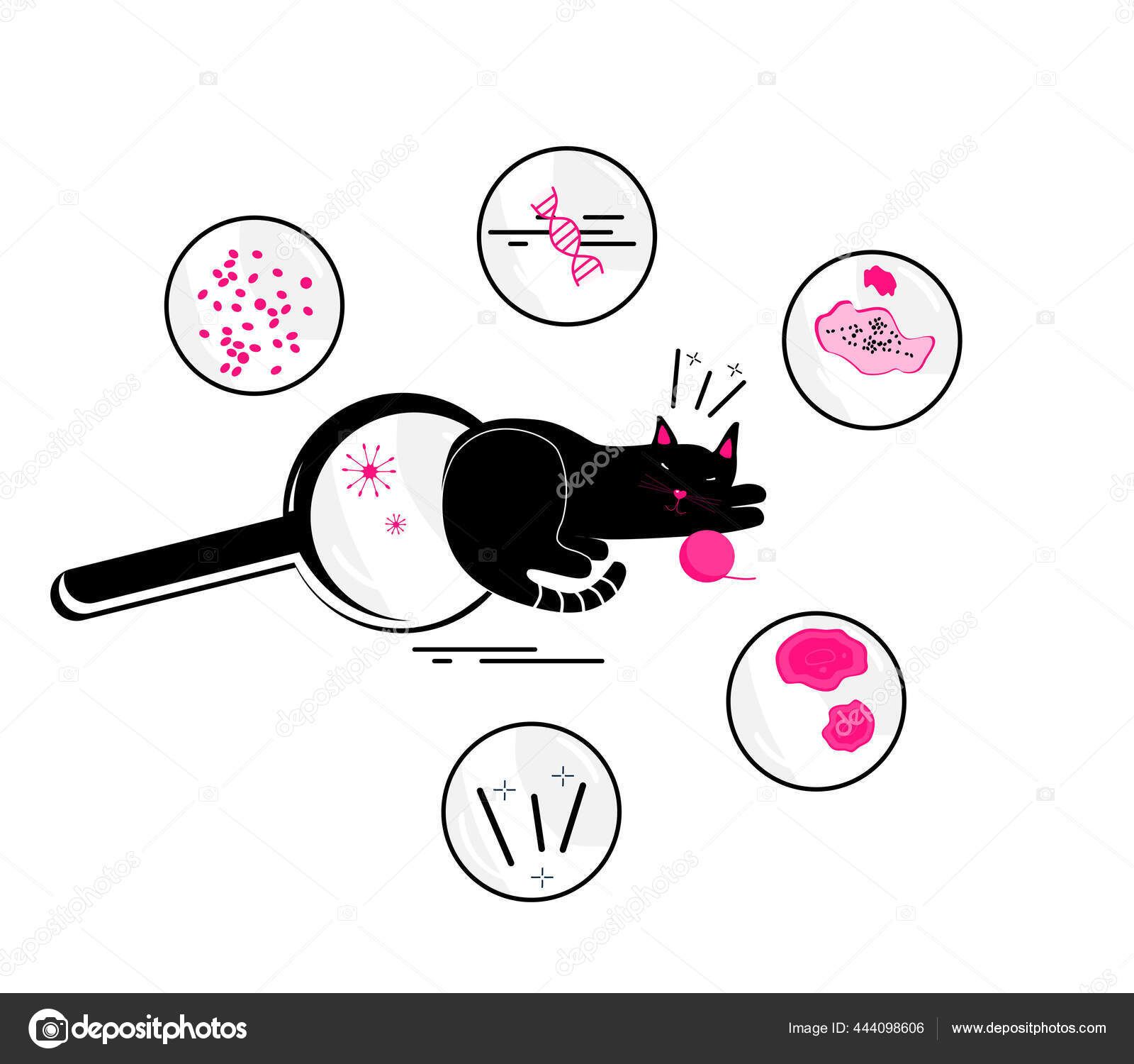 Cat Skin Problems Infographics Icons Different Symptoms Allergy Itching ...