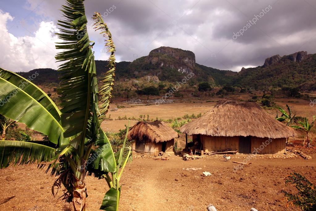 Traditional huts at East Timor – Stock Editorial Photo © urf #93527784