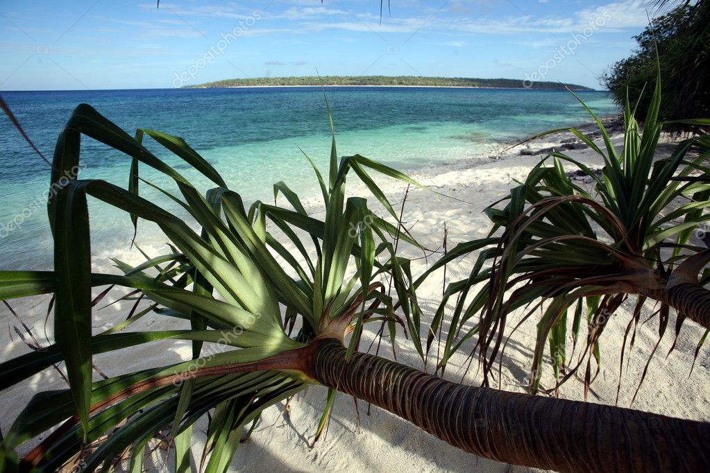 Dreambeach at the Jaco Island — Stock Photo © urf #93528986