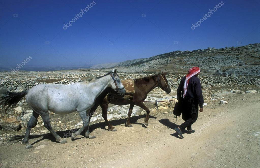 Arab farmer with horses – Stock Editorial Photo © urf #94078024