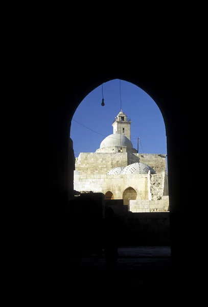 Al boustan Stock Photos, Royalty Free Al boustan Images | Depositphotos