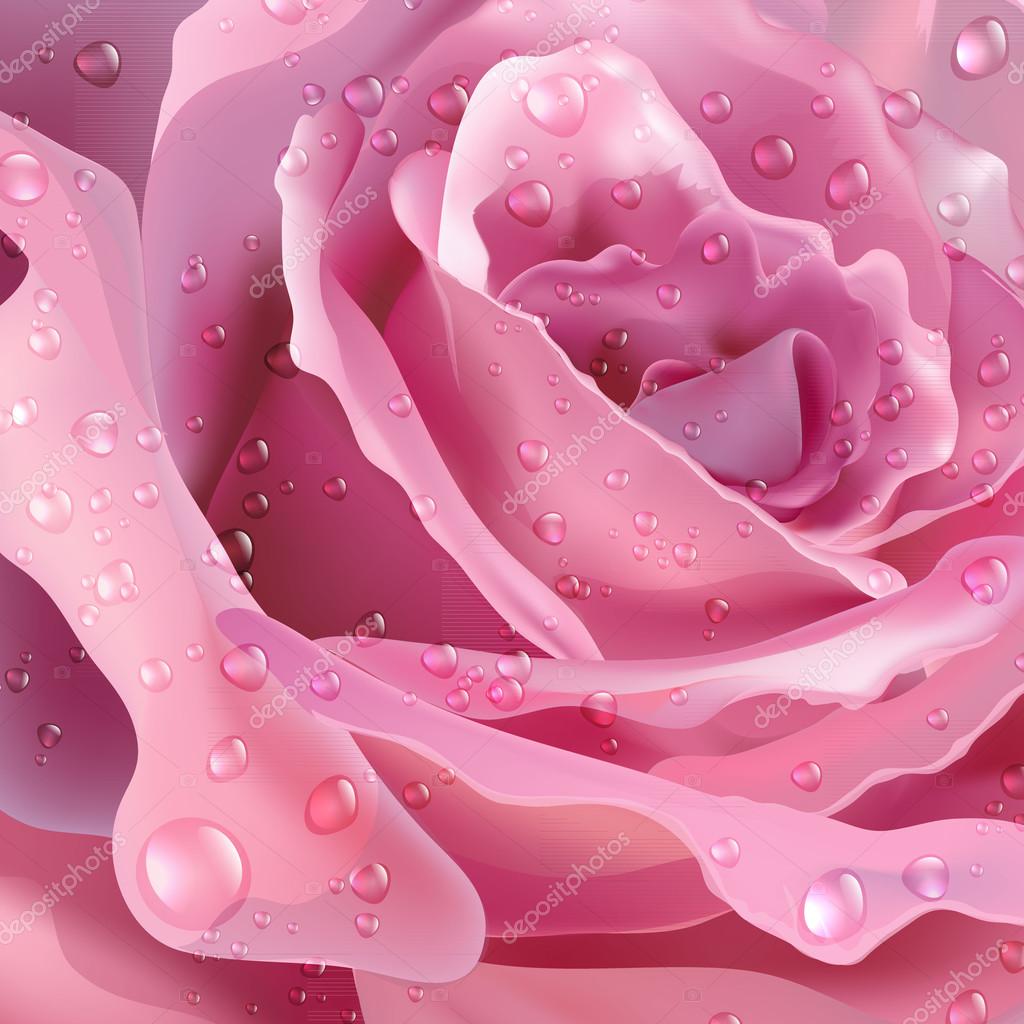 Rose. Vector background for your design. Stock Vector Image by ©Lyusjen ...