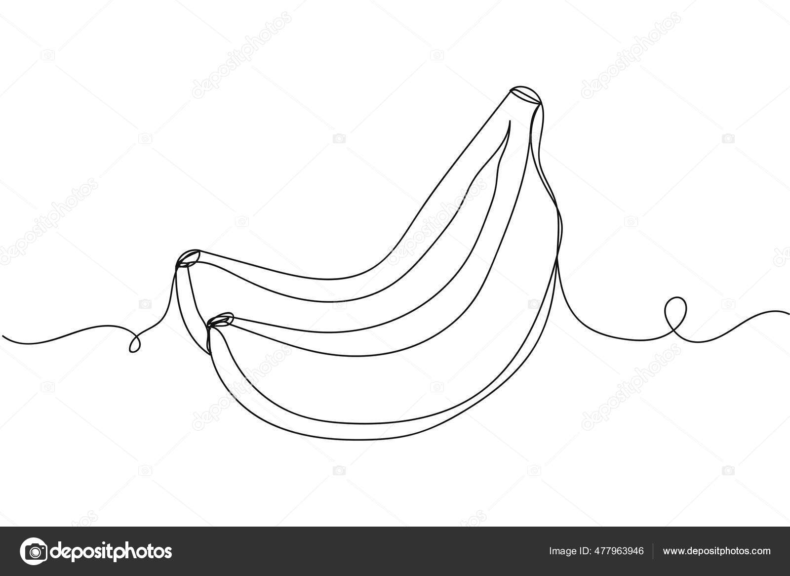 Continuous One Line Bananas White Background Linear Stylized Minimalist ...