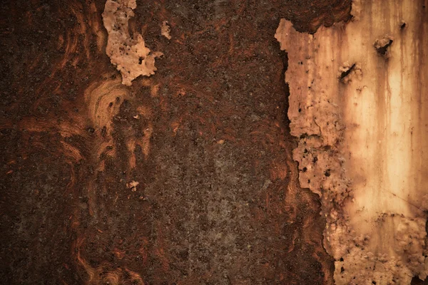 Rust Sign Orthopedic Test