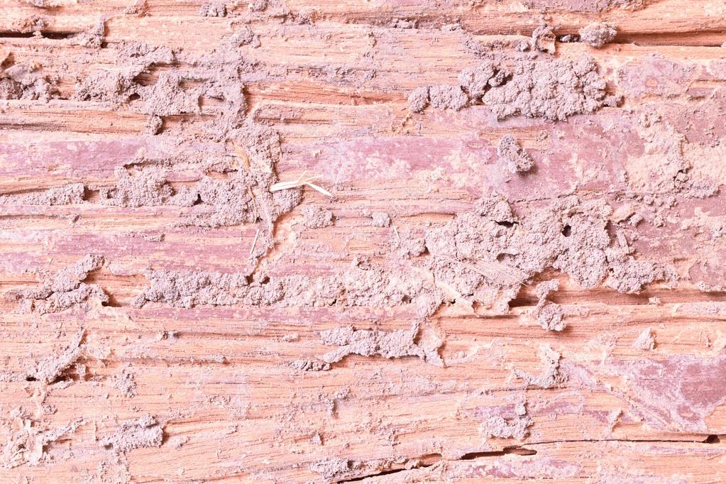 Decay wood texture — Stock Photo © PongMoji #65468197