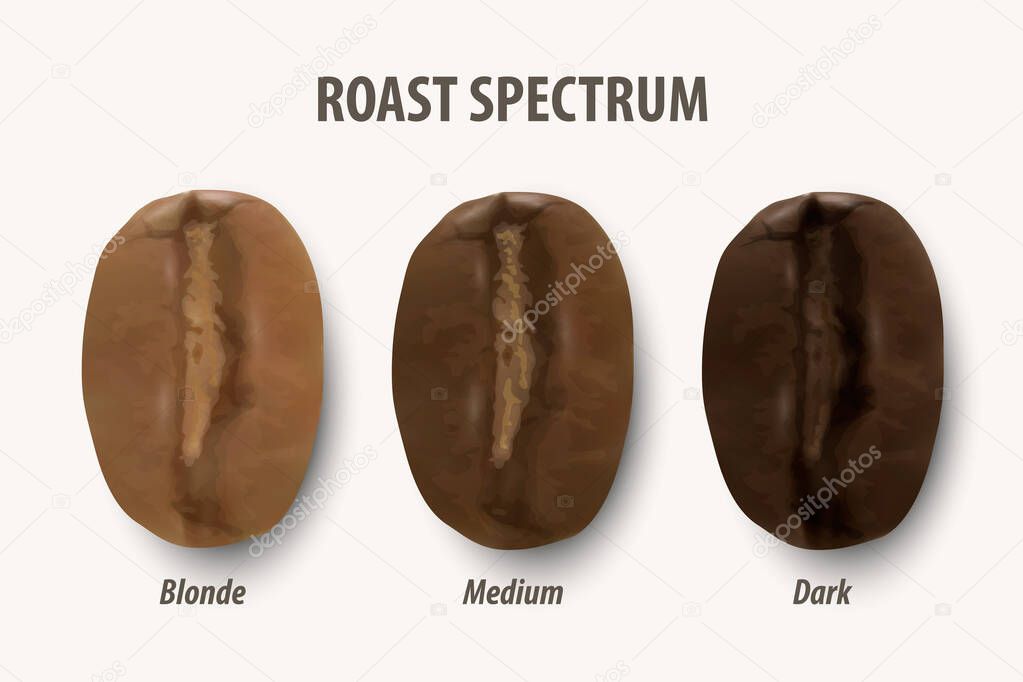 Tres etapas de café tostado. Vector 3d granos de café realistas. Set de ...