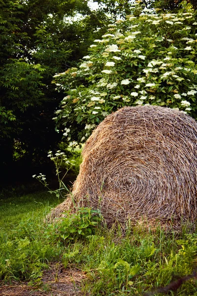 ᐈ Hay rick stock pictures, Royalty Free hay rick photos | download on ...