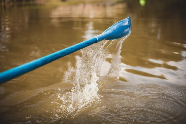 Pez remo fotos de stock, imágenes de Pez remo sin royalties | Depositphotos