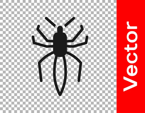 Spider kit Stock-Vektorbilder | Depositphotos