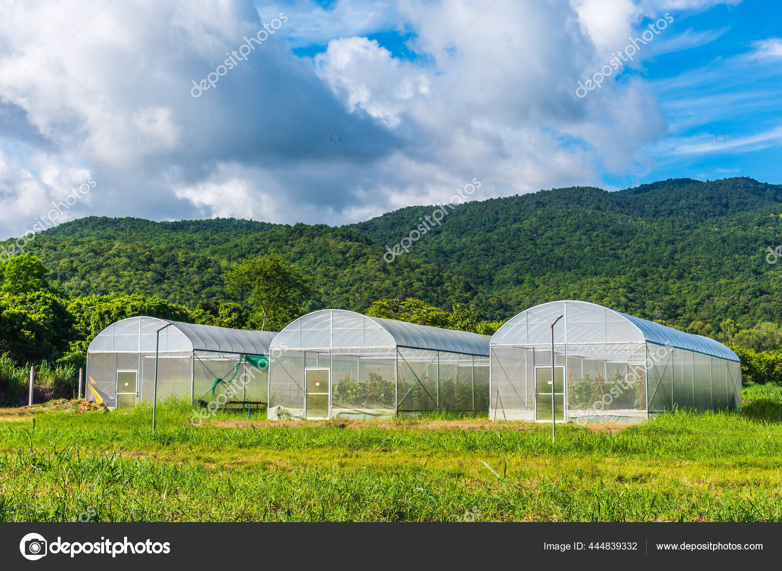 Image White Insect Protection Tent Smart Farm Plantation Green Mountain ...