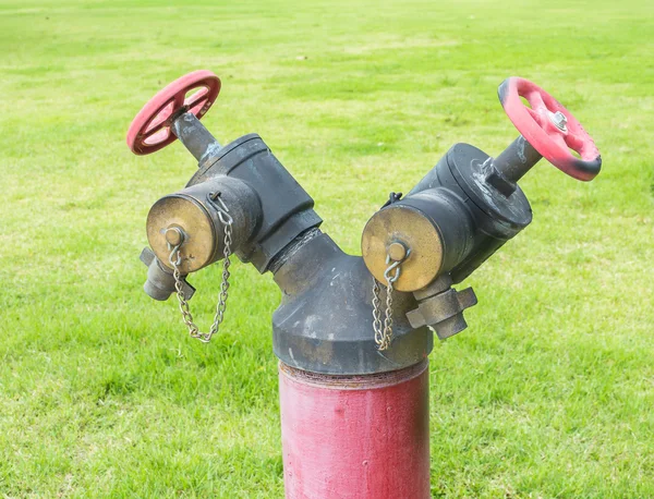 Water Fire Hydrant Red - Stock Image - Everypixel