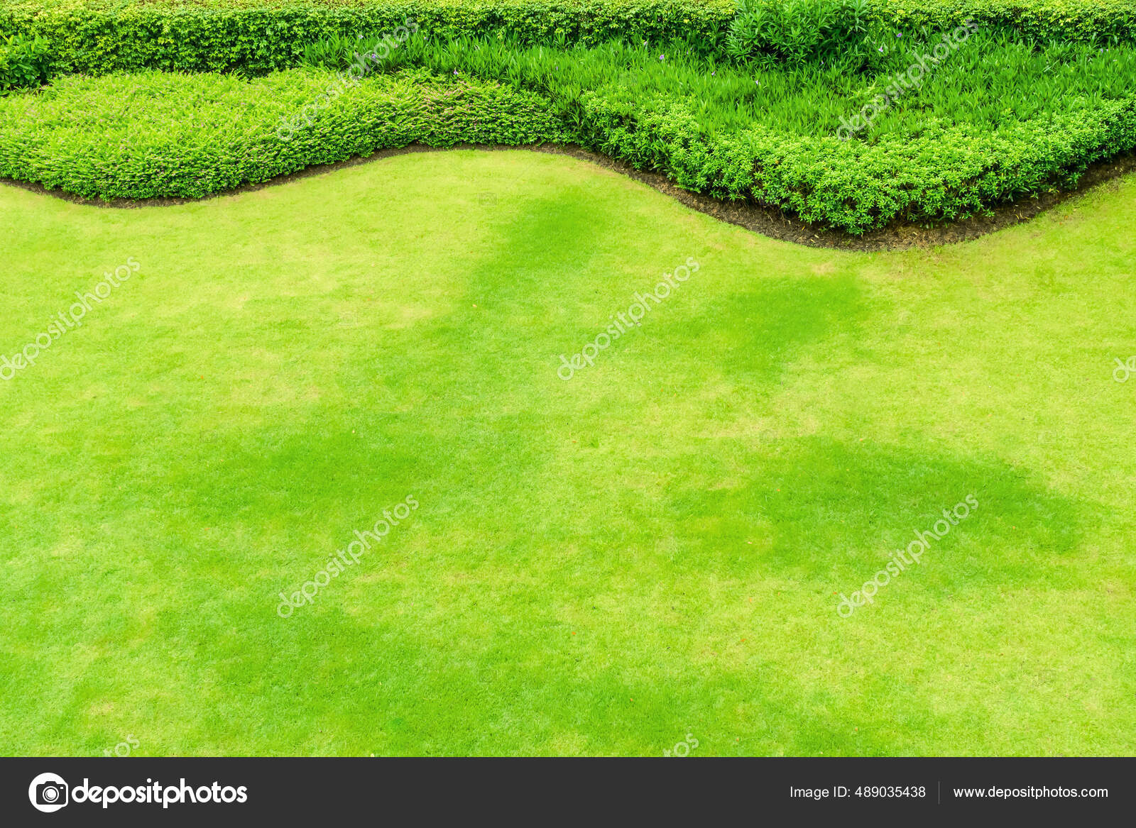 Download - Top view of green lawns, green lawns and shrubs are ...