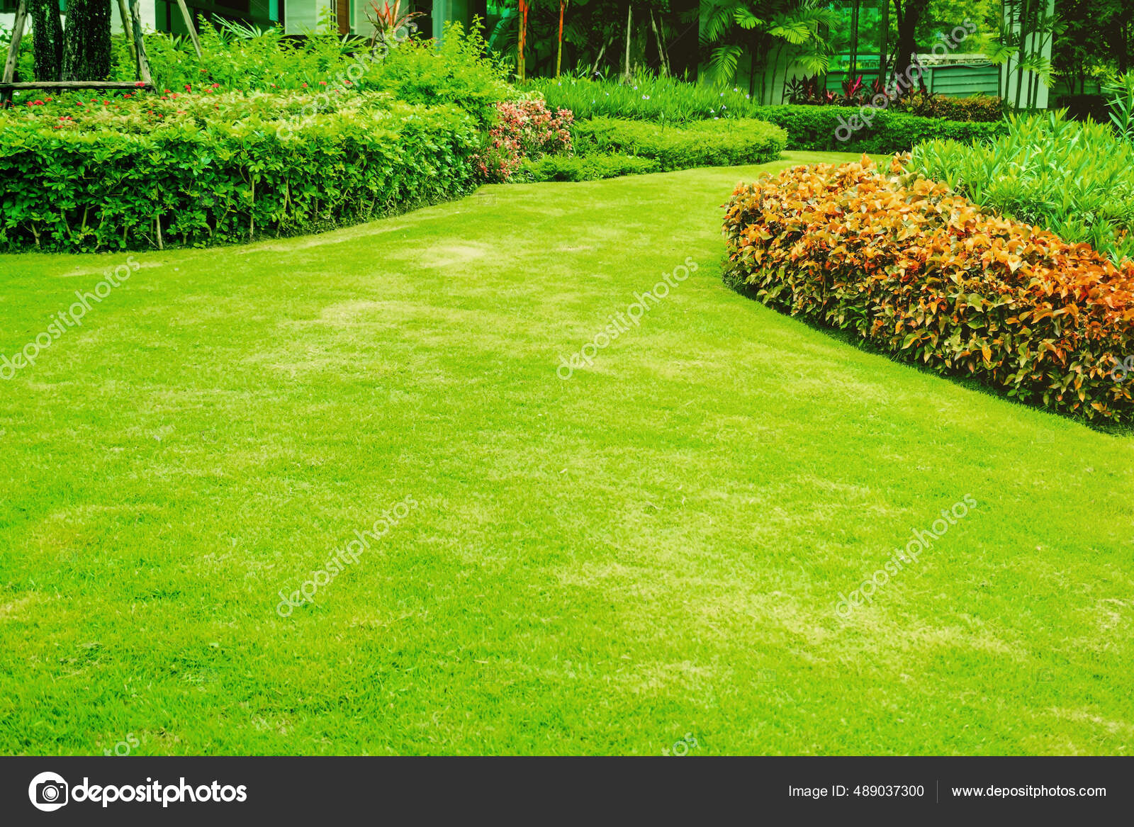 Lawn Background