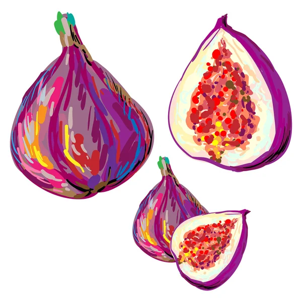 2,346 Figs Vector Images | Depositphotos