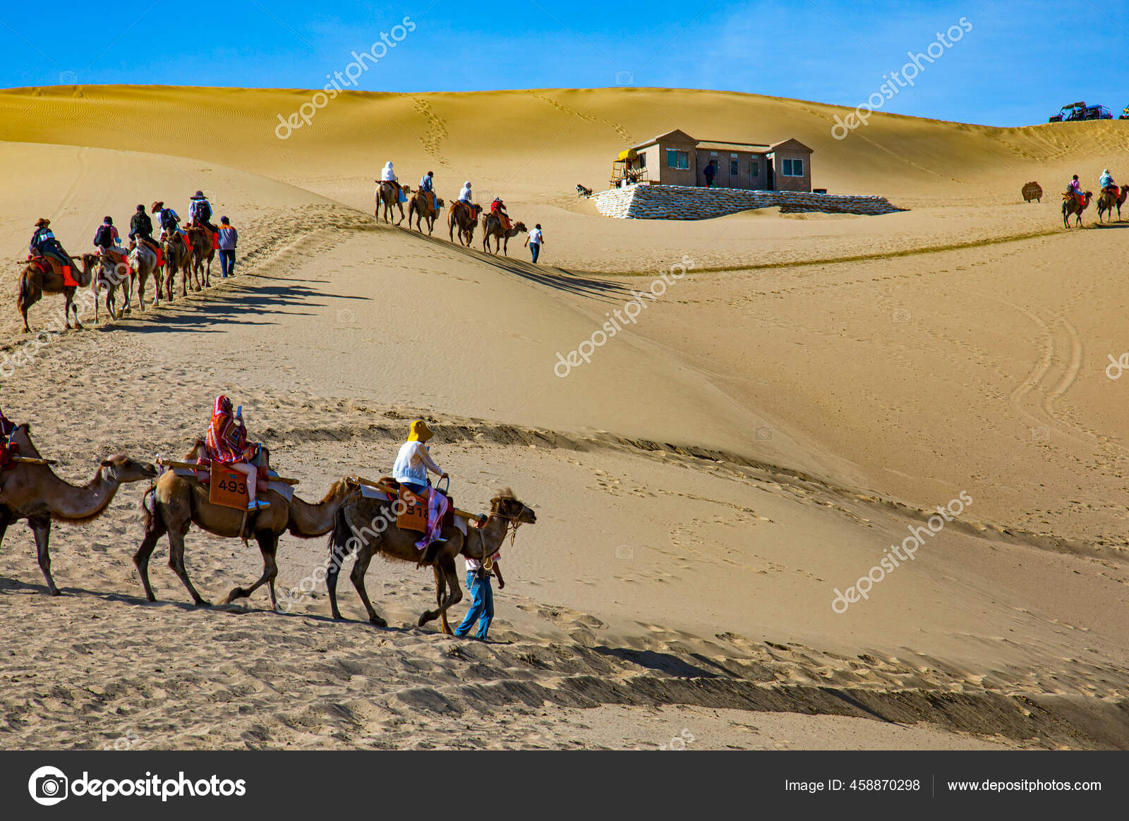 Camel Caravan Going Sand Dunes Sahara Desert Morocco — Stock Editorial Photo © Imagemore #458870298